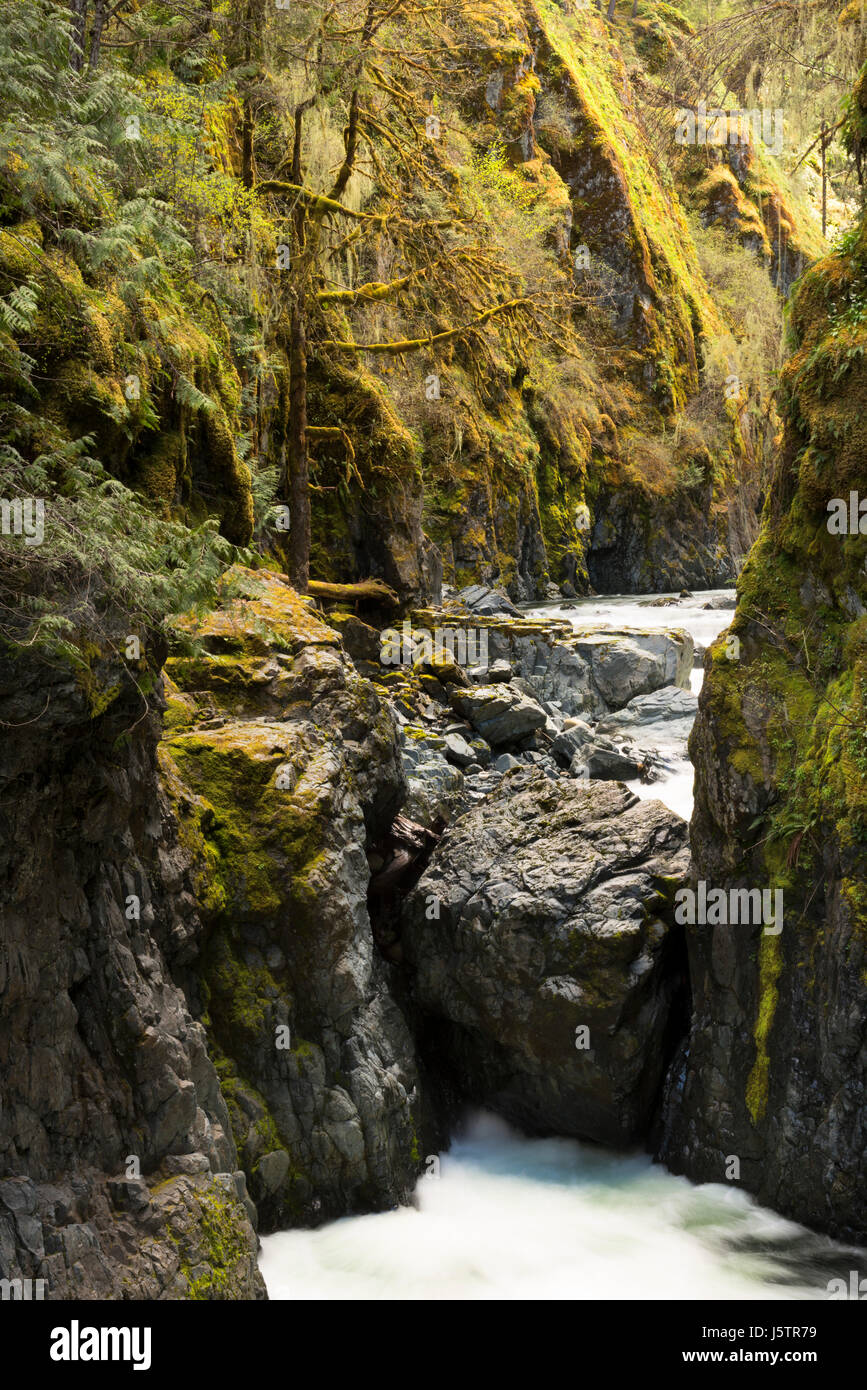 Englishman River Falls Stock Photo - Alamy
