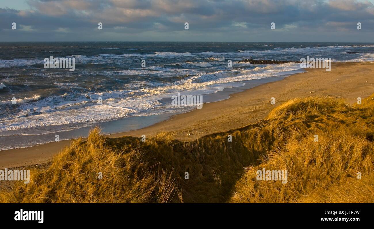 beach seaside the beach seashore water north sea salt water sea ocean ...