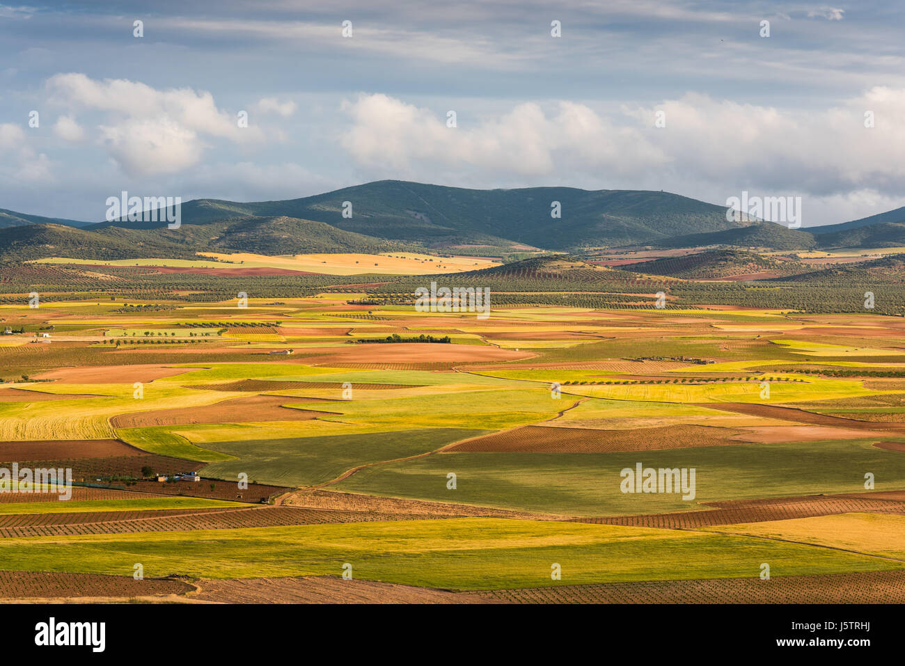 Colorful fields with crop, farming landscape in Spain, Castila La ...