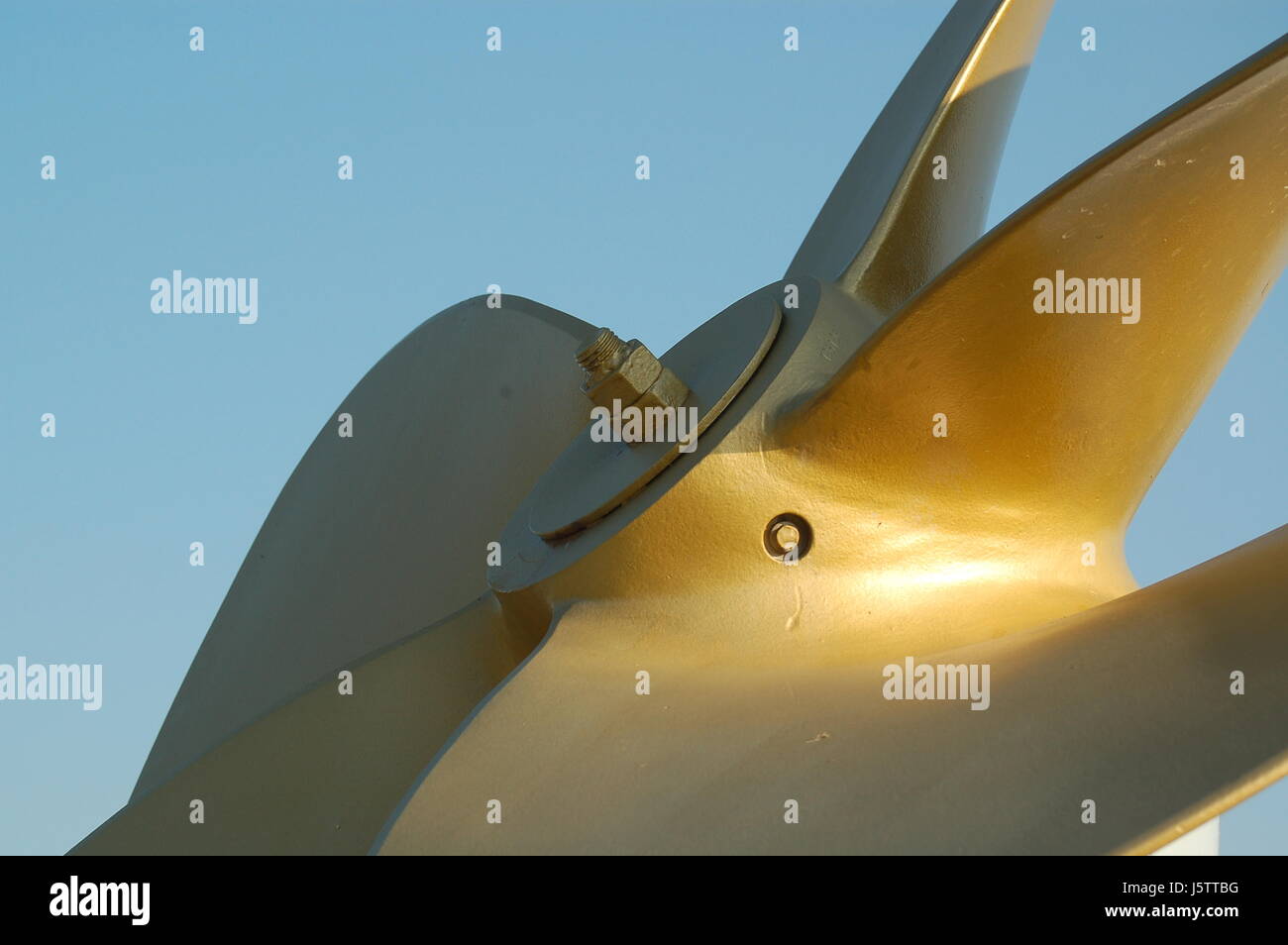 Sumpfbooten hi-res stock photography and images - Alamy