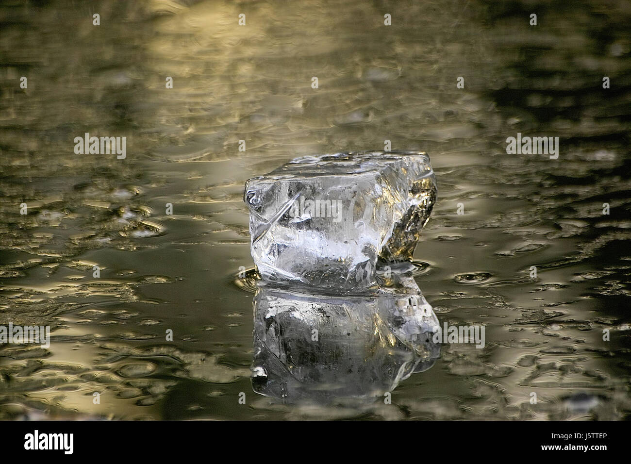 cold ice cold ice frozen fresh water pond water icecold block of ice ...