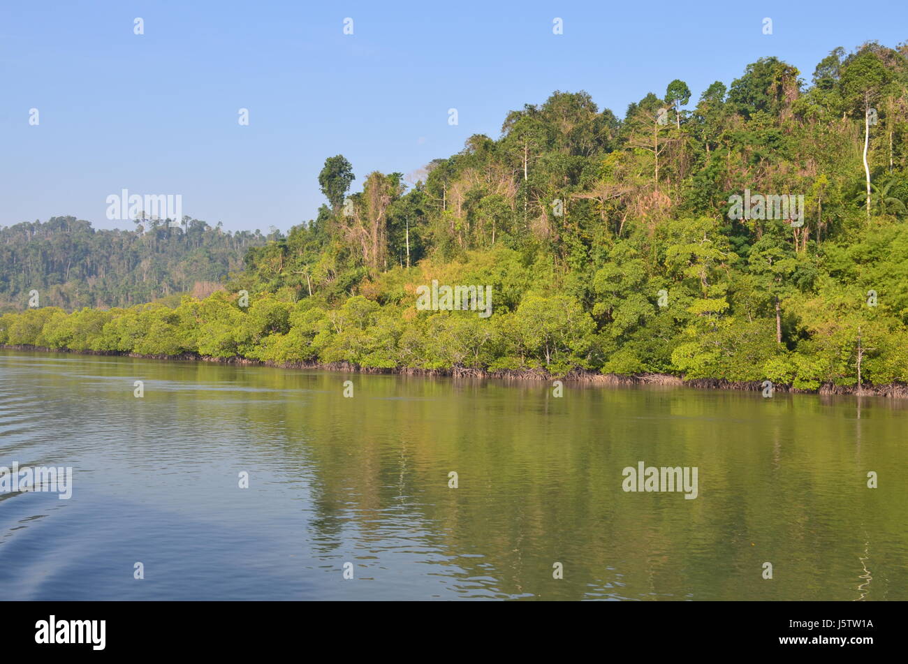 Coastal landscape, Tropical forest along the coast Andaman Islands ...