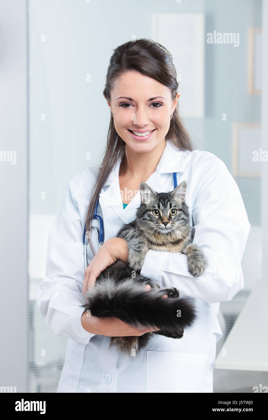 Portrait of a smiling female vet holding a feline Stock Photo - Alamy