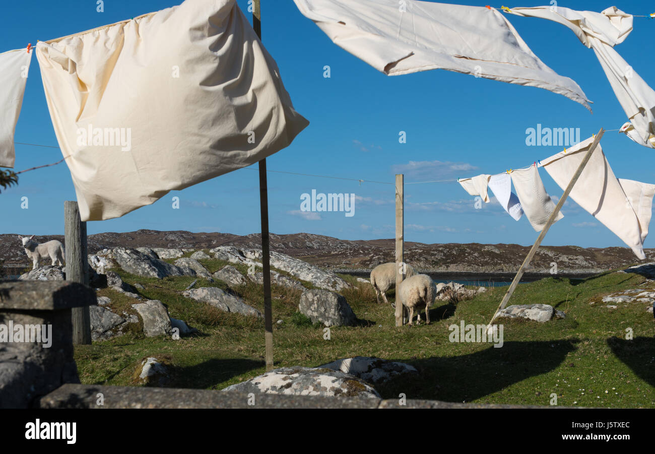 Windy day washing line hi-res stock photography and images - Alamy