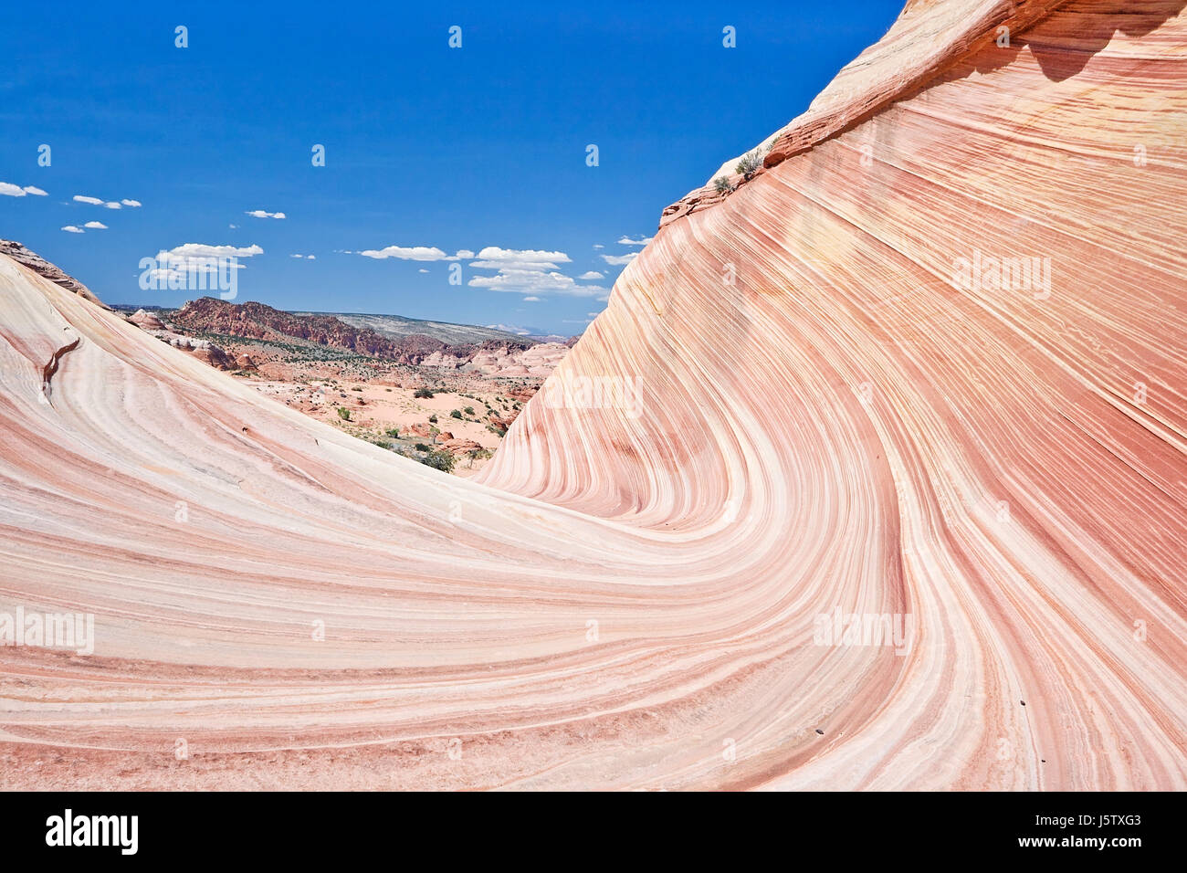 coyote,wave,usa,buttes,coyote buttes,the wave,utah Stock Photo - Alamy
