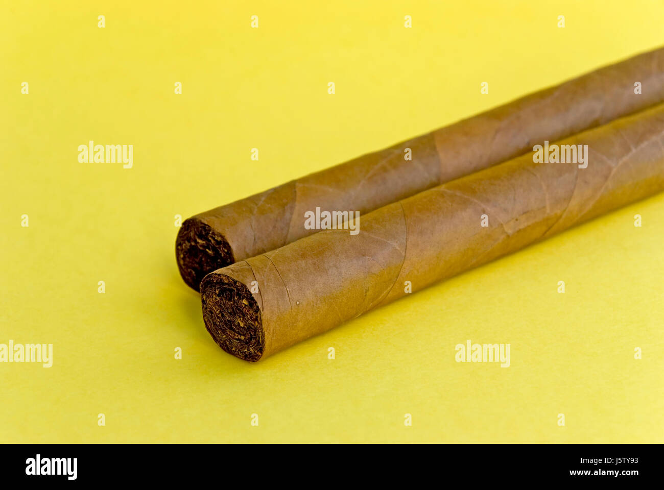 danger model design project concept plan draft tobacco cigarettes ...