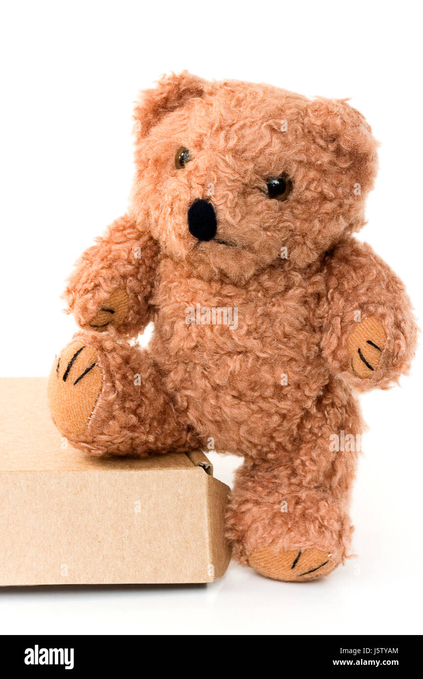 bear toy teddy teddy bear teddybear cuddly toy cardboard carton package ...