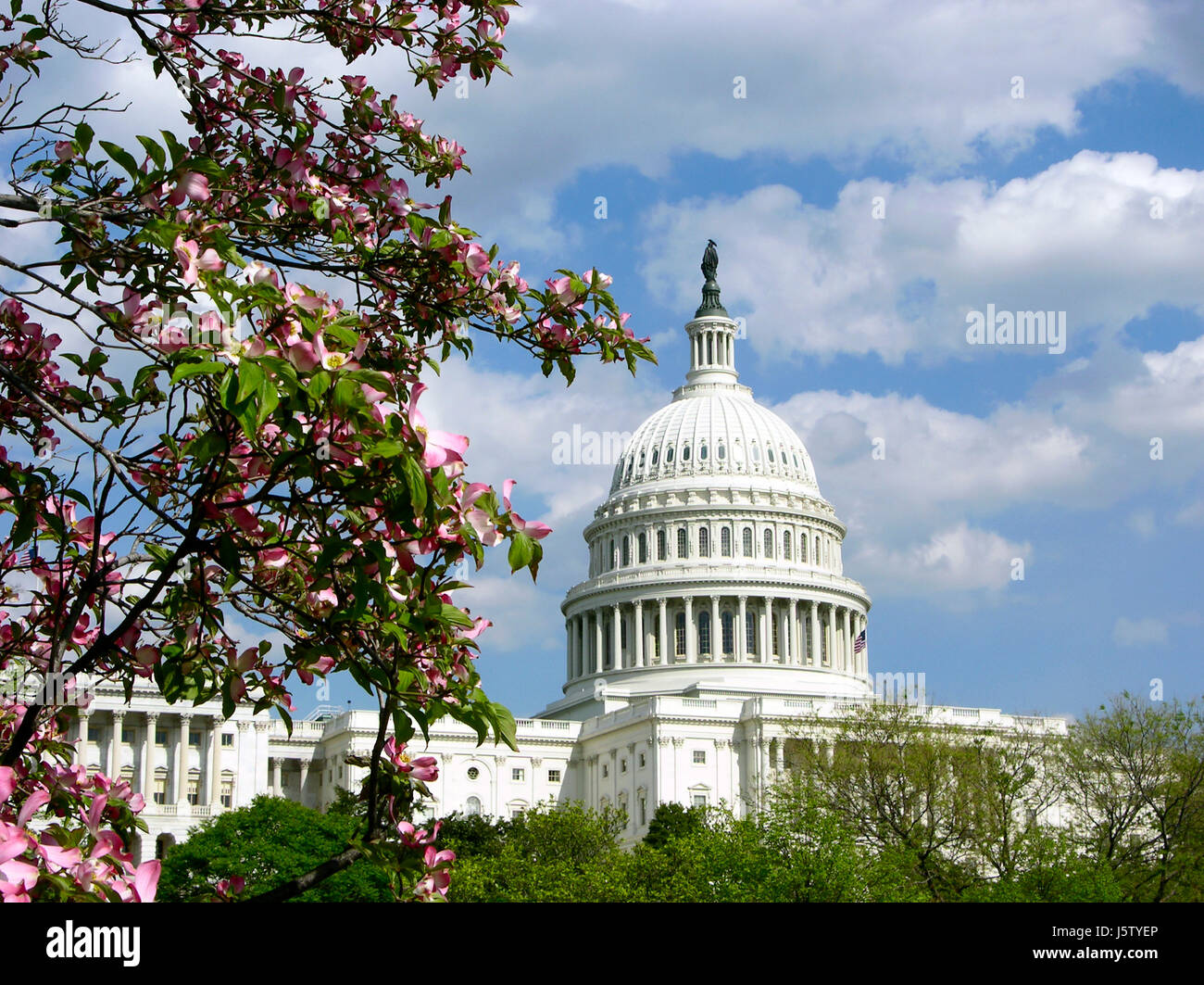 usa spring bouncing bounces hop skipping frisks jumping jump capitol ...