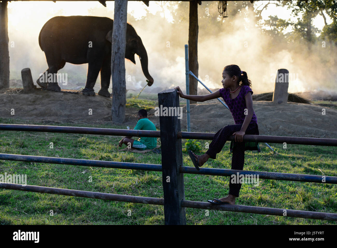 NEPAL, Terai, Chitwan Nationalpark, village Sauraha, Elephant breeding ...