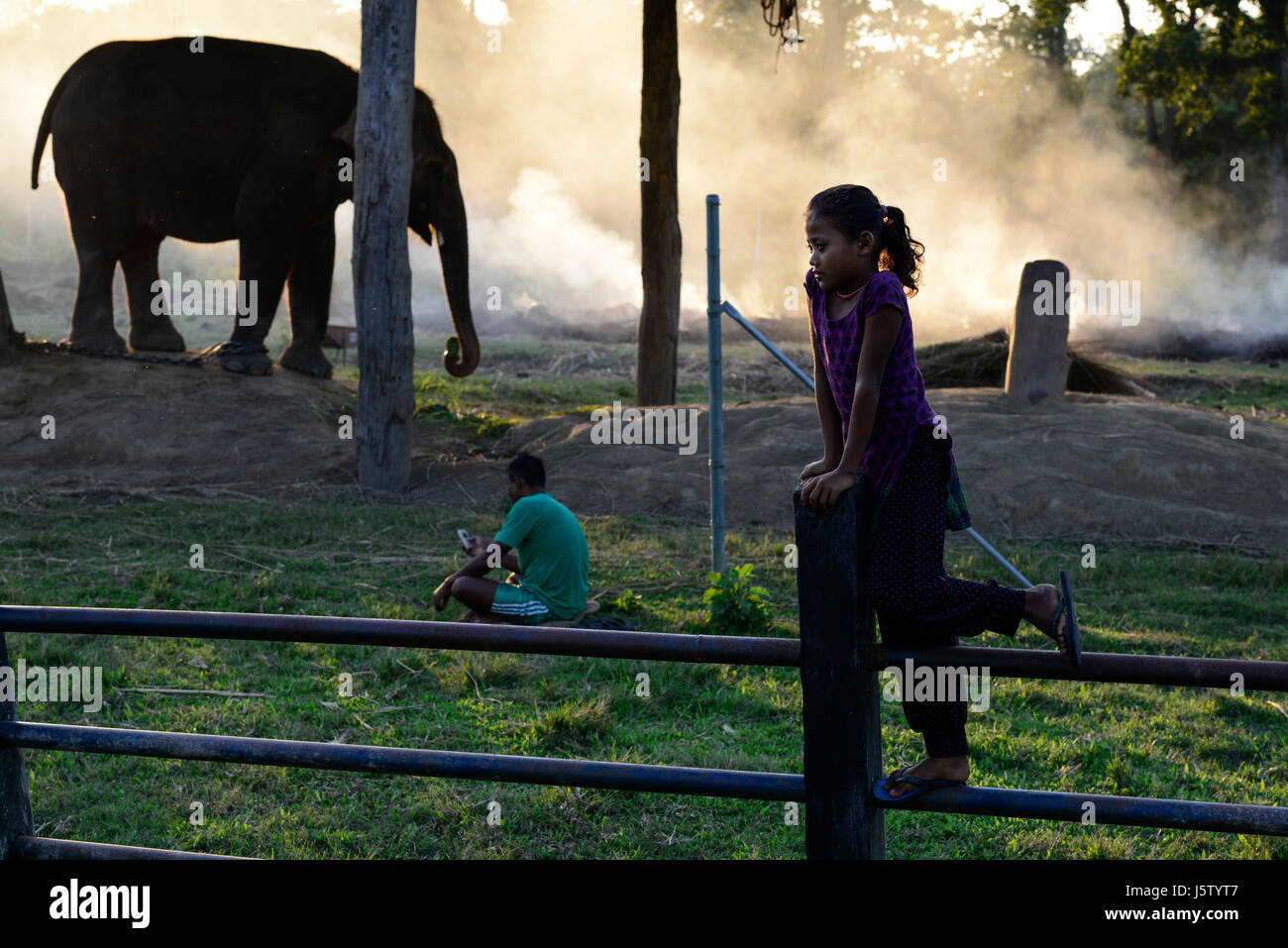 NEPAL, Terai, Chitwan Nationalpark, village Sauraha, Elephant breeding ...