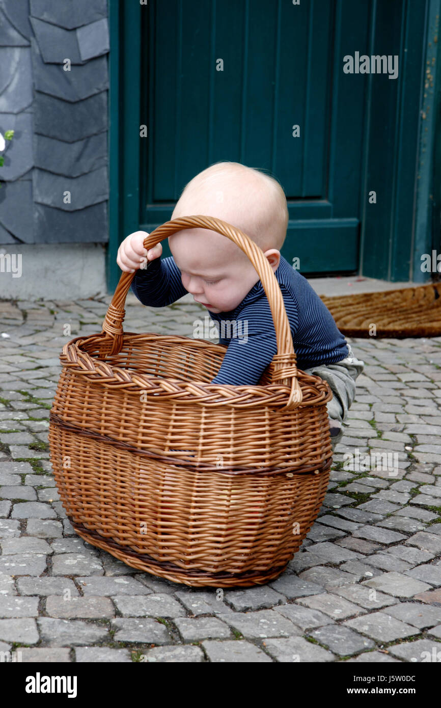 curiosity portrait basket baby young younger enthusiasm amusement ...