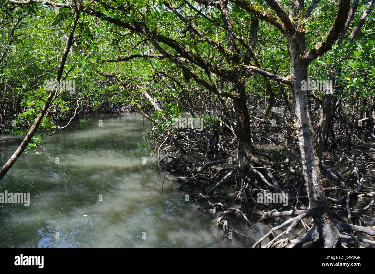 India nicobar hi-res stock photography and images - Alamy