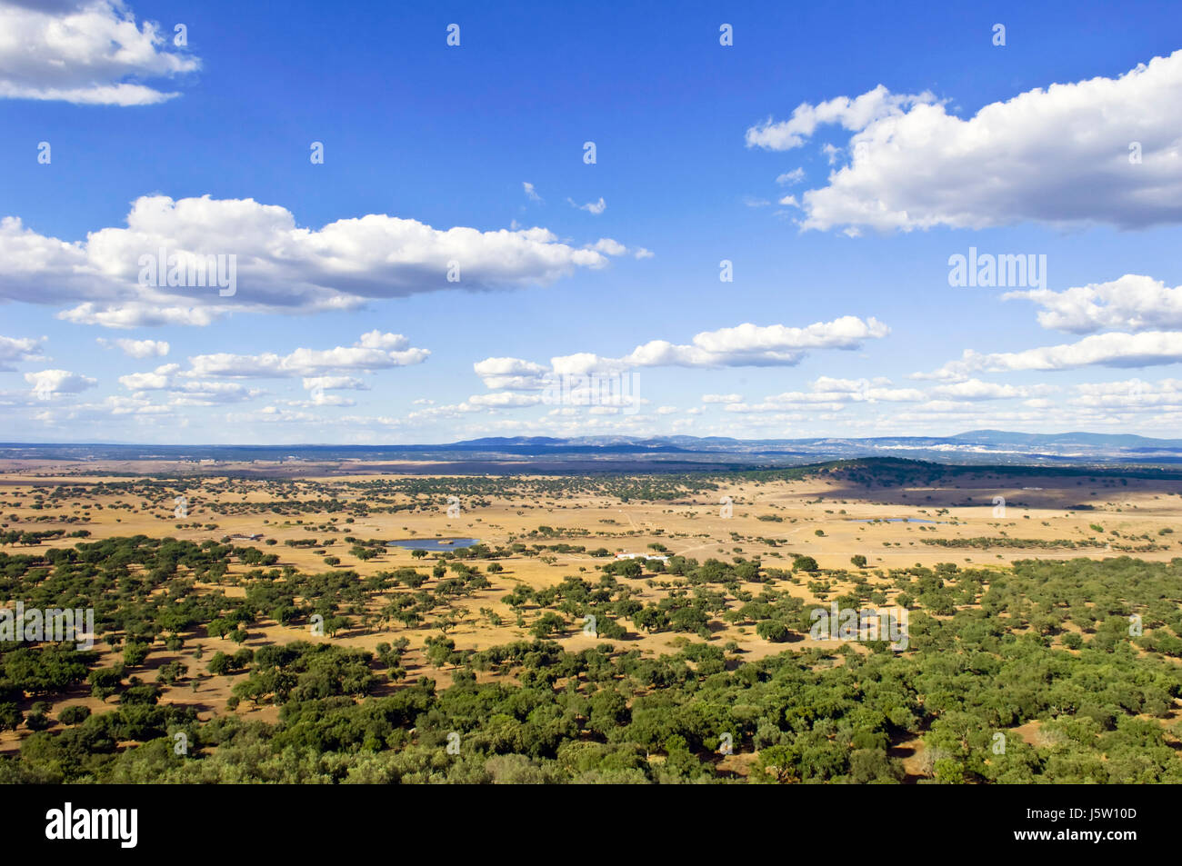 horizon cloud plain landscape scenery countryside nature scenic ...