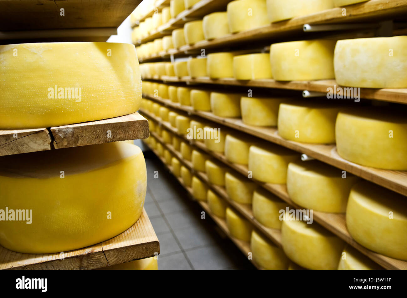 food aliment cure shelf cheese dairy drying desiccation many close ...