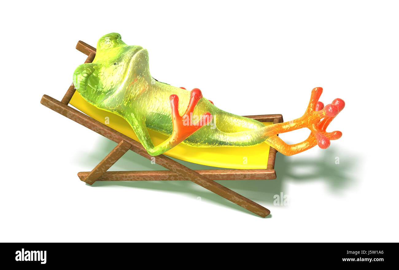 frog ecology tropical toad rainforest rain forest ecosystem nature ...