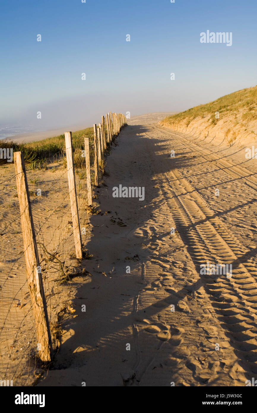 wood beach seaside the beach seashore coast path way firmament sky salt ...