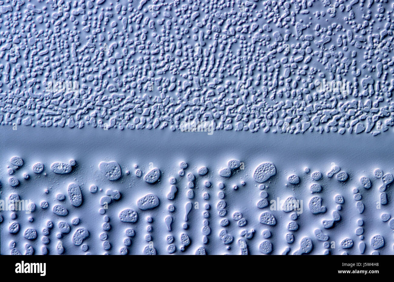 Phasentrennung hi-res stock photography and images - Alamy