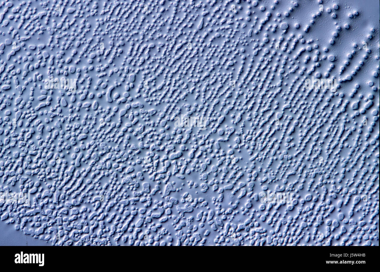 Boundary layer hi-res stock photography and images - Alamy