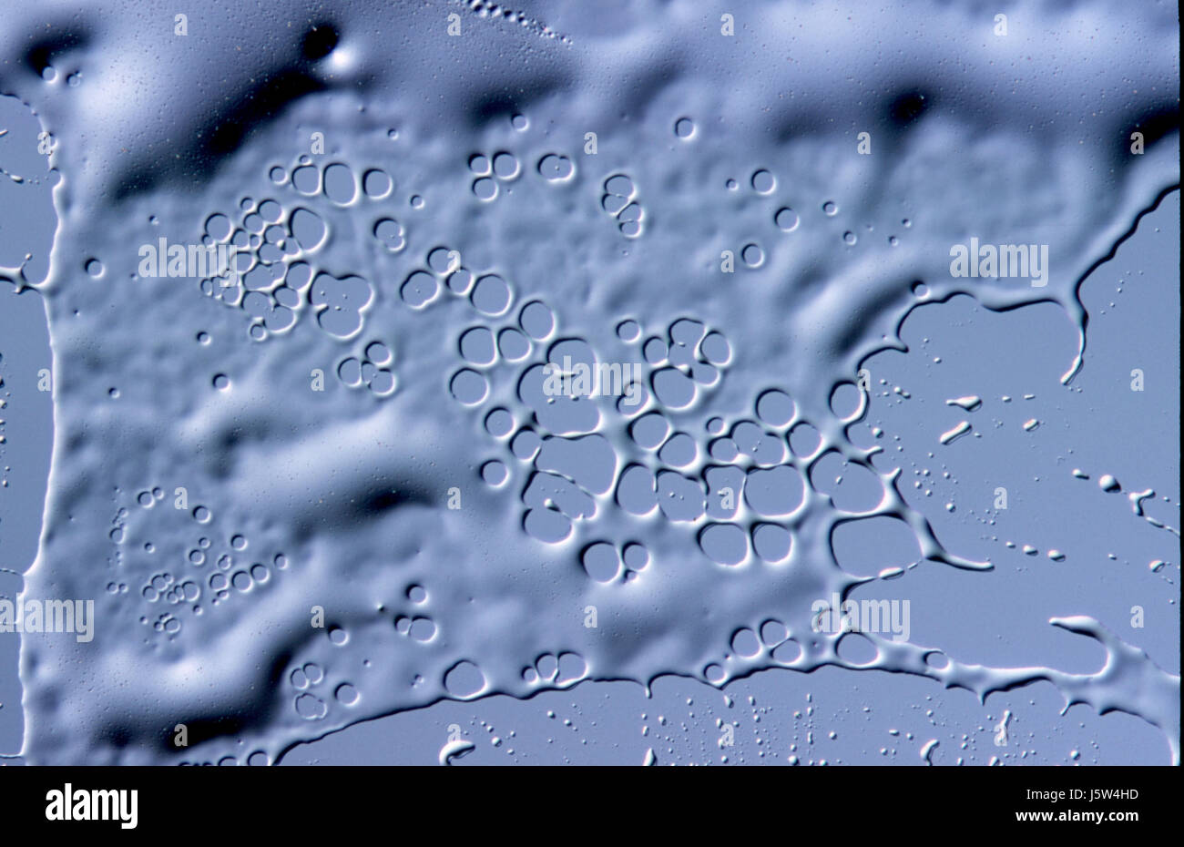 microscope microscopic phase oil oils water grenzschicht phasentrennung ...