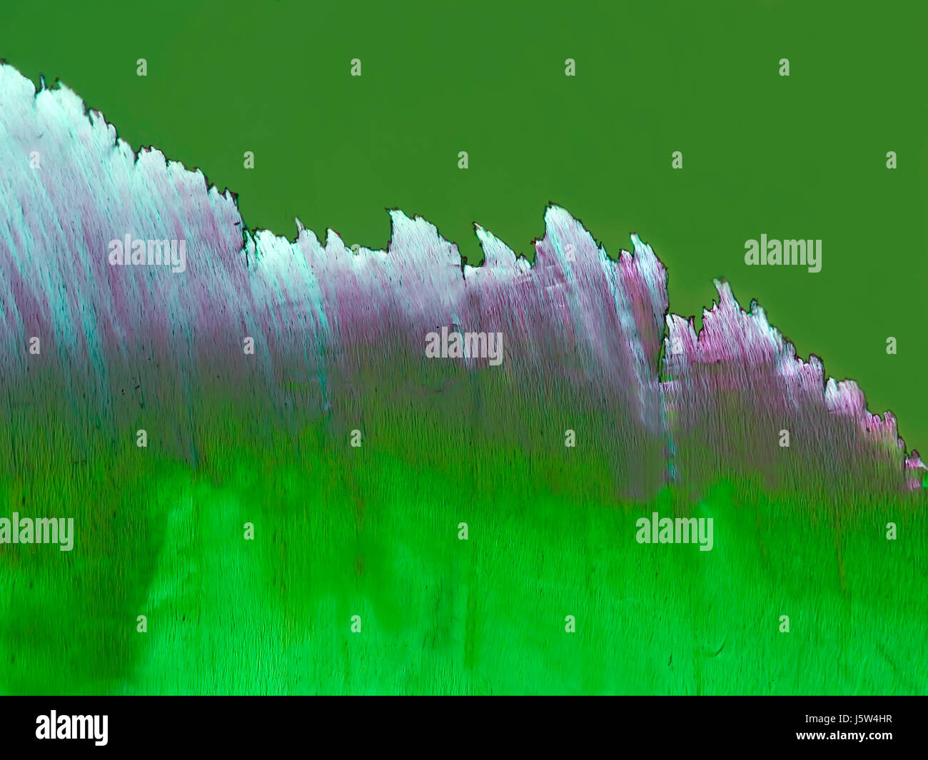 plastic synthetic material foil colour microscope microscopic plastic ...