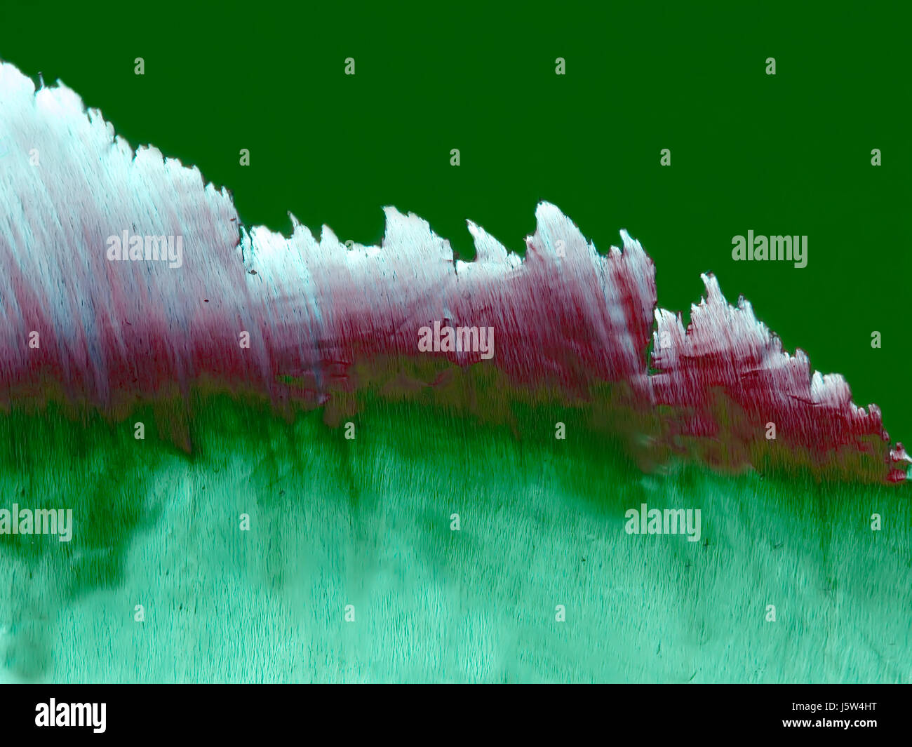 colour microscope polarization colors colours plastic synthetic ...