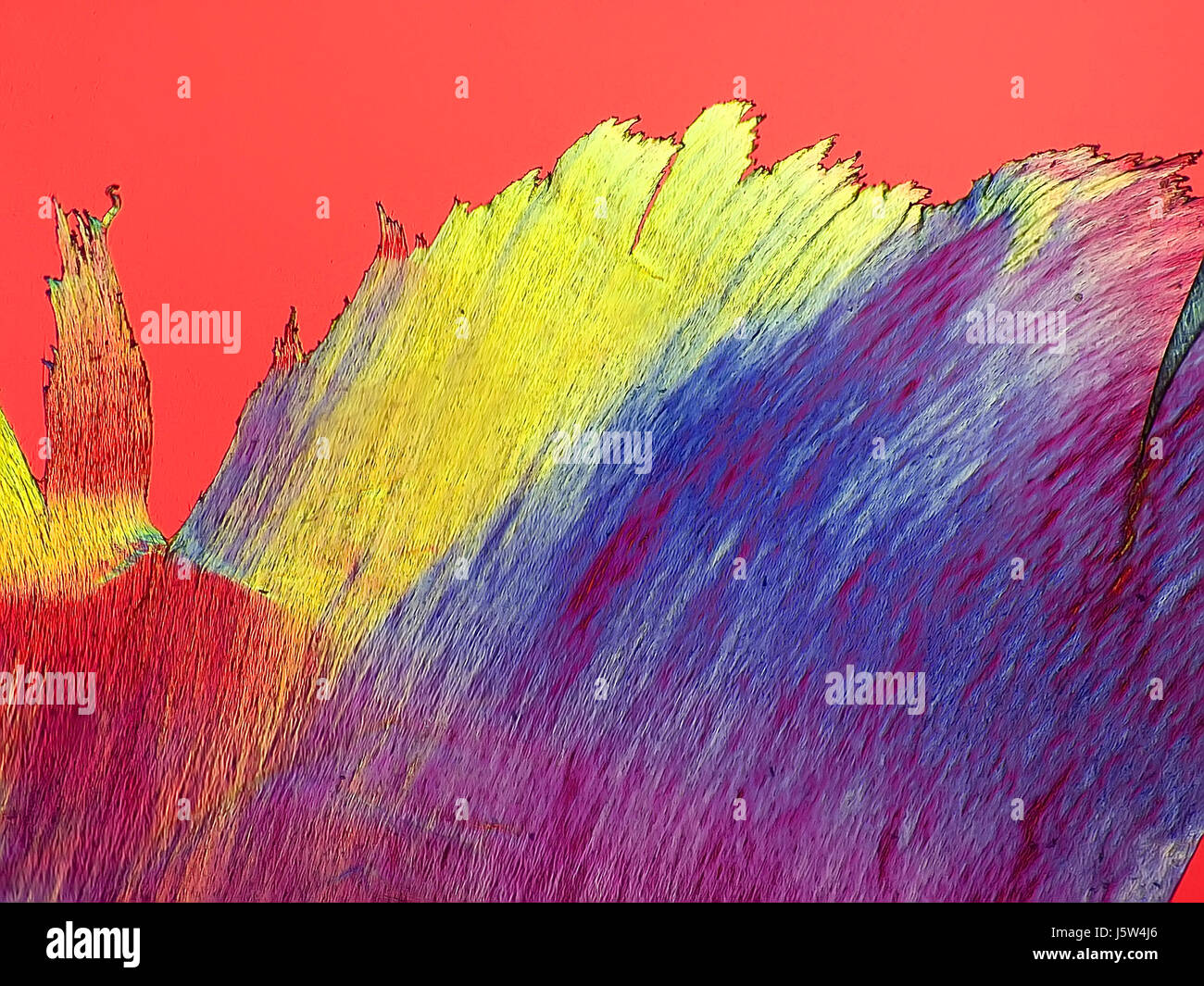 plastic synthetic material foil colour microscope microscopic plastic ...