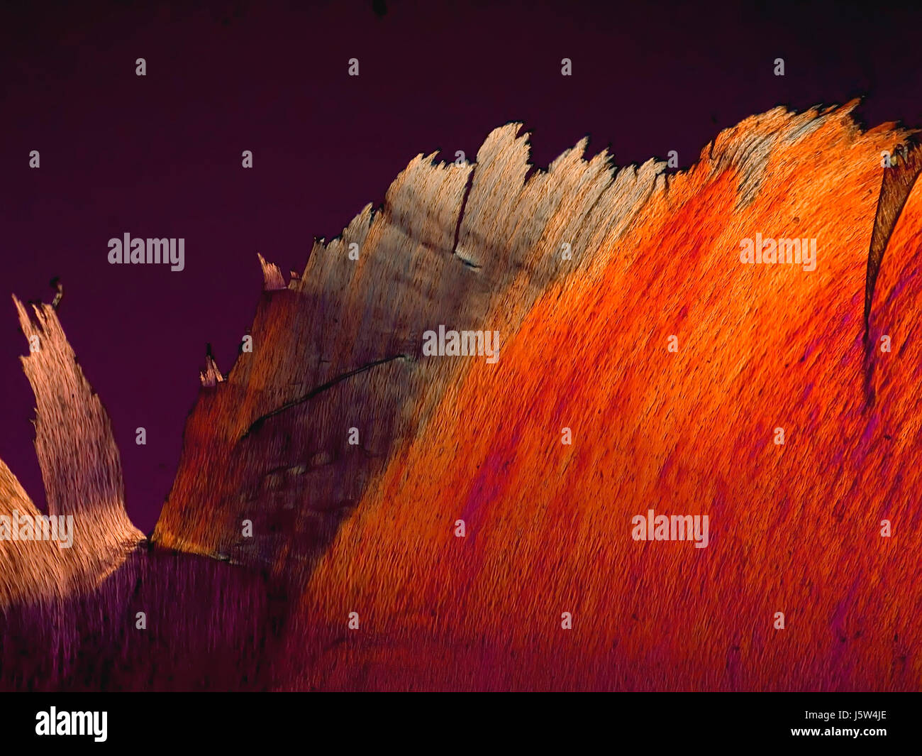 plastic synthetic material foil colour microscope microscopic plastic ...