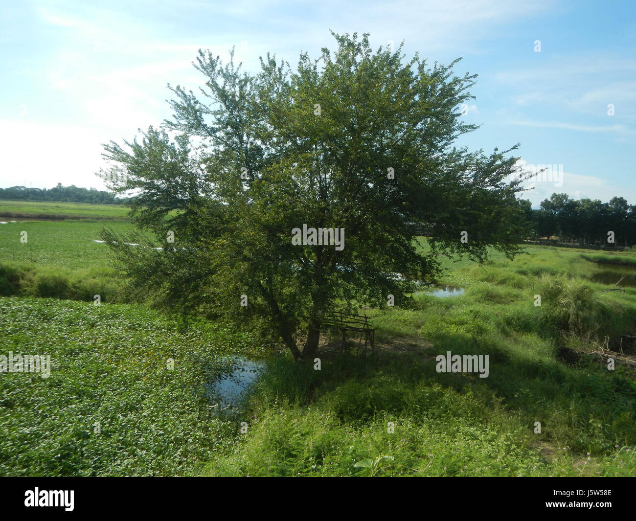 The image shows a rural landscape in Calasag, San Ildefonso, Bulacan ...
