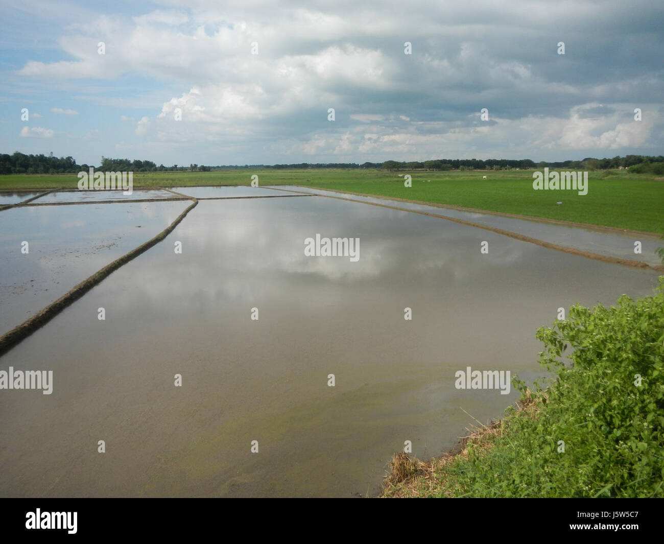 This image depicts the rural landscape of Calasag, San Ildefonso, and ...