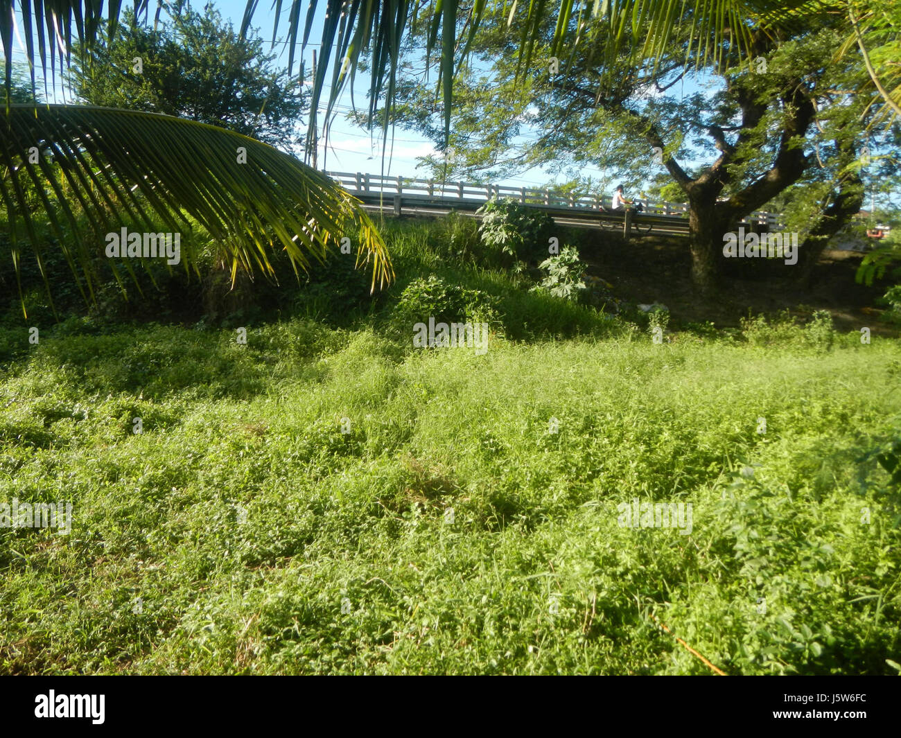 0118 Tigpalas Bridges San Miguel River San Slope Walls Bulacan 11 Stock ...