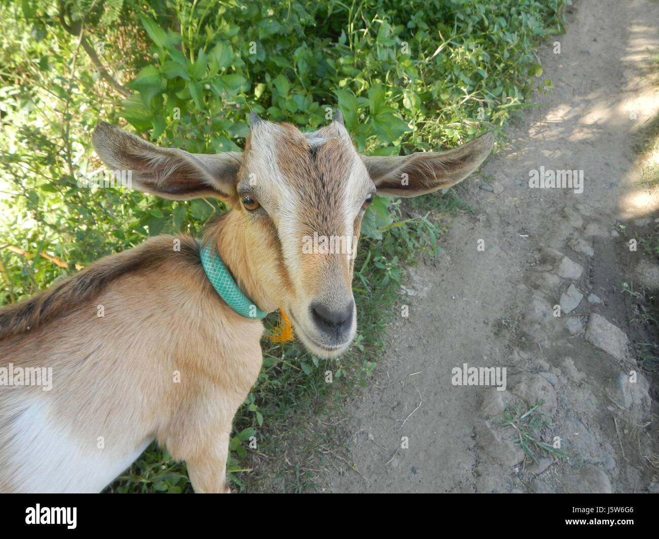 This entry refers to infrastructure in Bulacan, Philippines, focusing ...