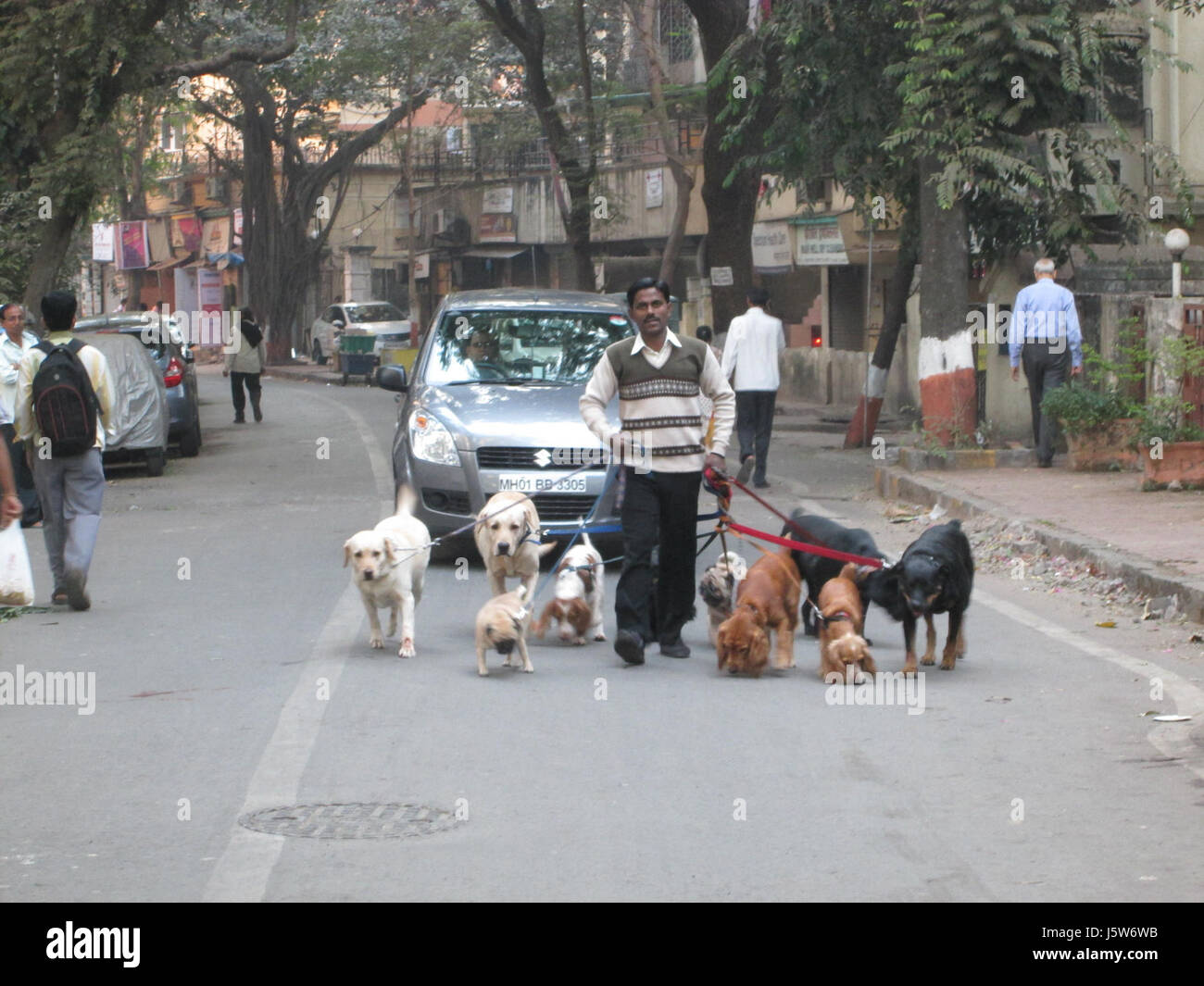 Suresh gore hi-res stock photography and images - Alamy