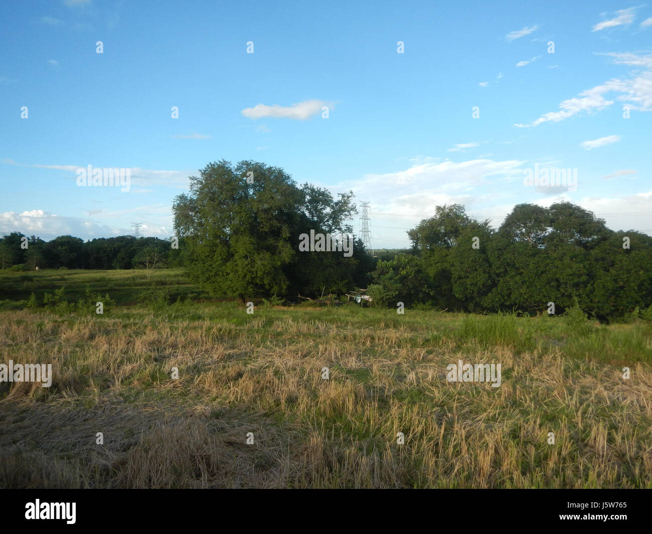 0188 Solar Powered Agri-Rural Communities paddy fields Pasong Inchik ...