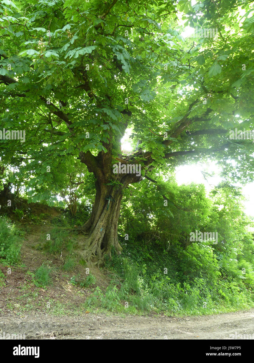 's-Gravenvoeren, a village in Belgium, is known for its historical ...