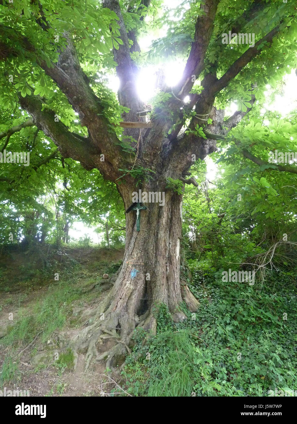 This refers to a location or specific area known as 's-Gravenvoeren ...