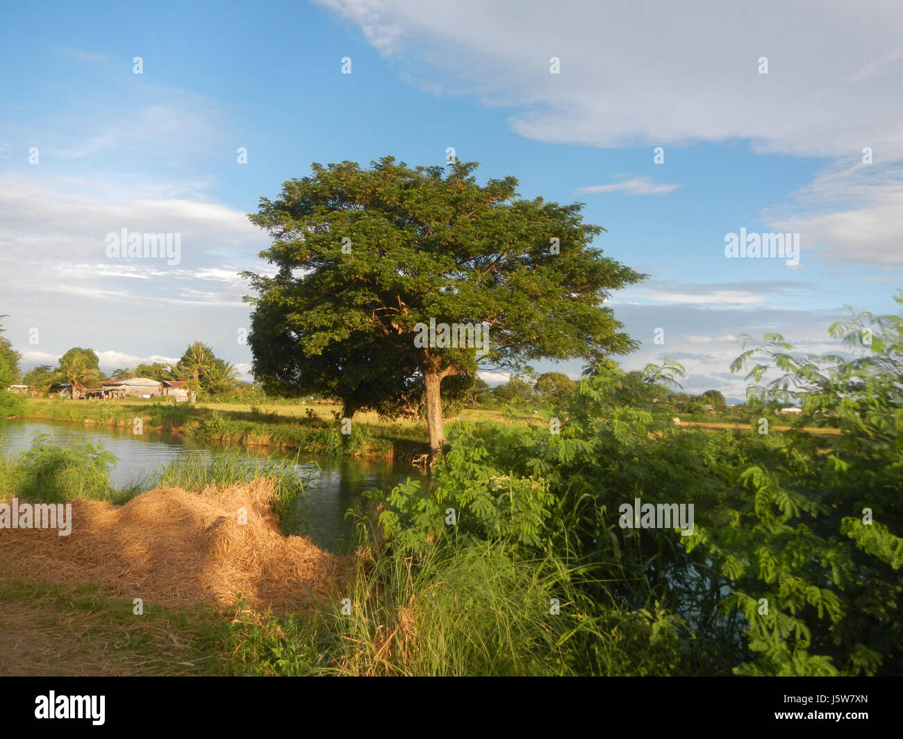 The image shows paddy fields, grasslands, trees, and fishponds in Sitio ...