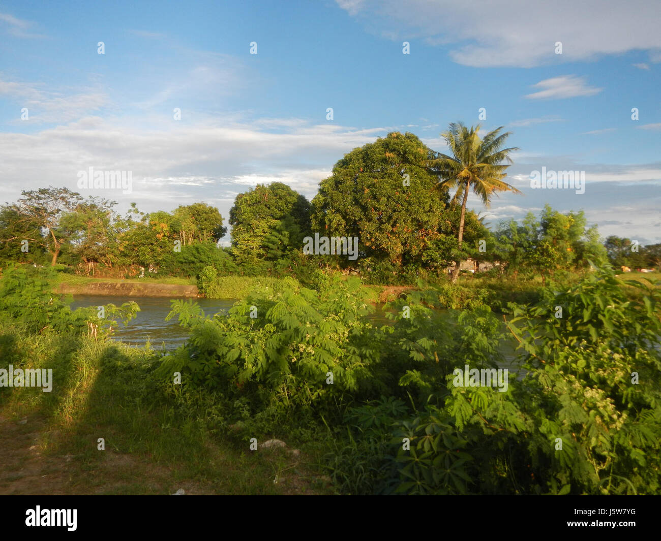 The image depicts the agricultural landscape of Sitio Matabubok in San ...