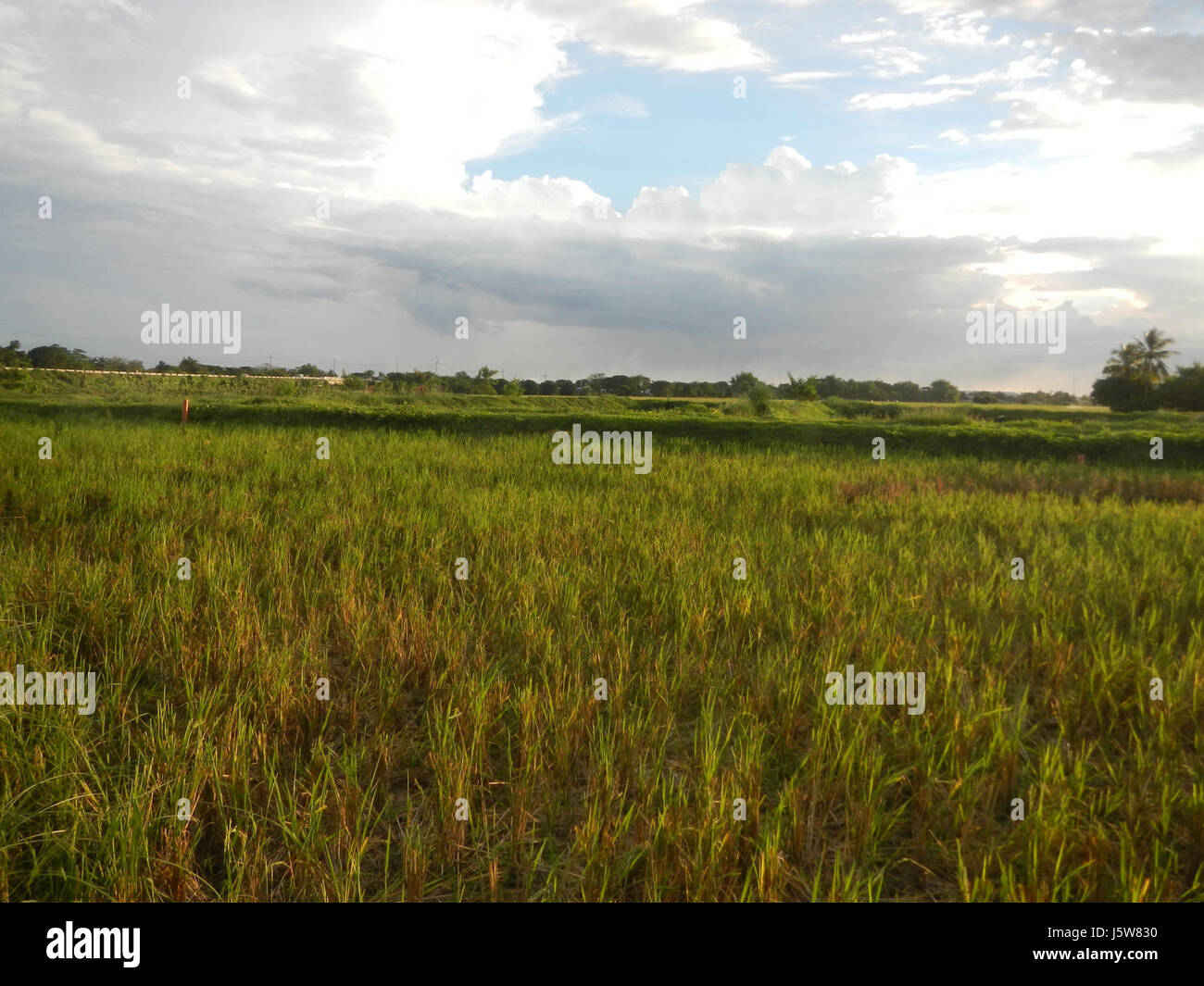 The image shows the agricultural landscape in Sitio Sakdalan, San Jose ...
