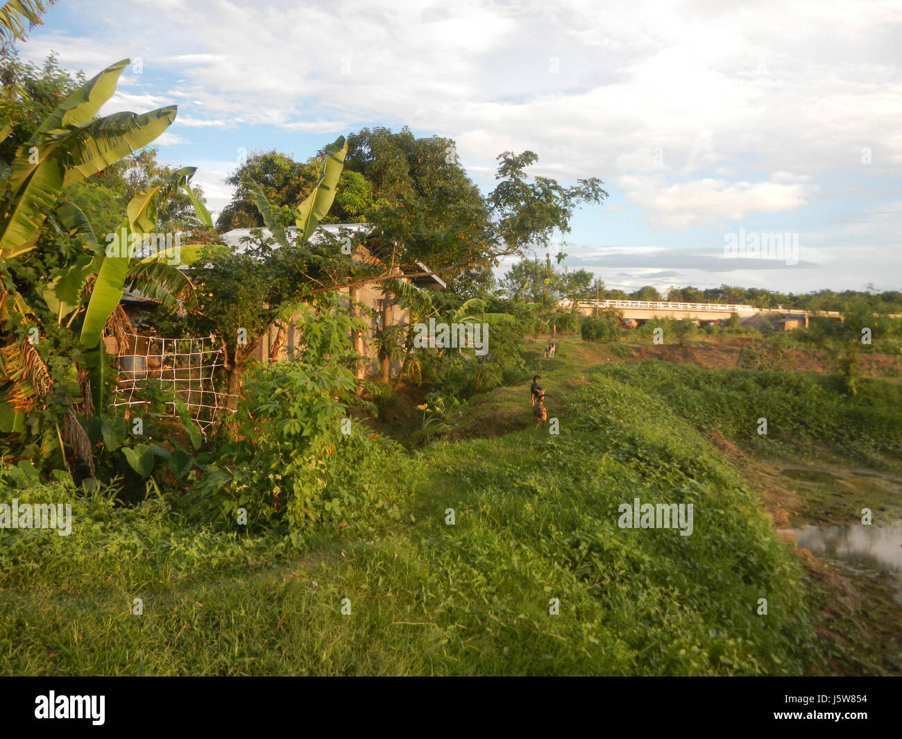 An aerial view of the agricultural landscape in Sakdalan, San Jose ...