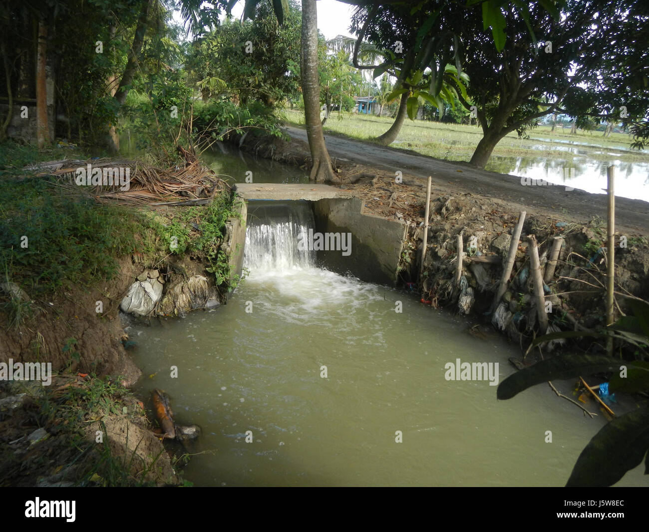 This image represents the farm market road in Sitio Pinagpala Extension ...