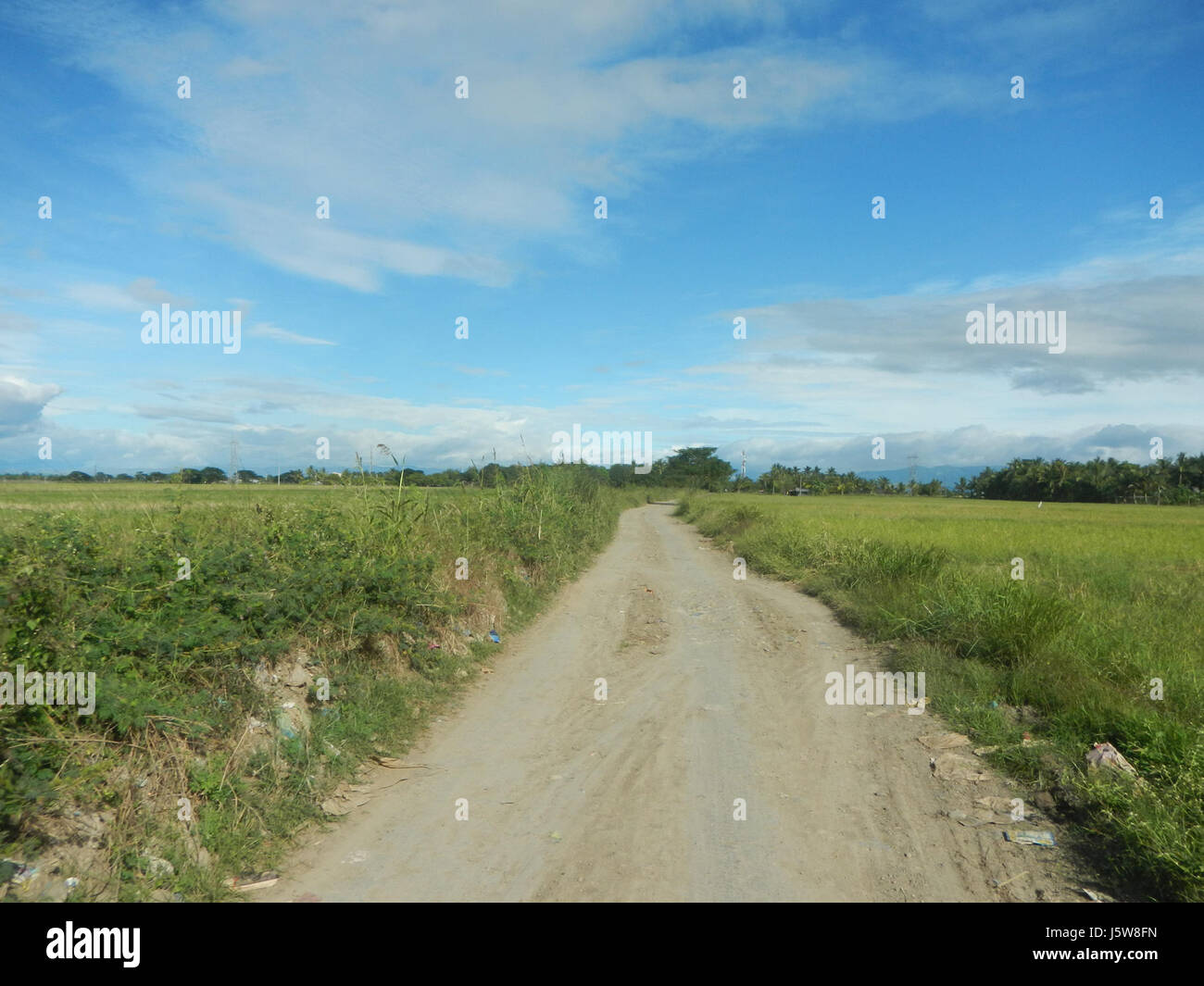 0026 Sitio Pinagpala Extension Bulualto San Miguel Bulacan Farm Market ...