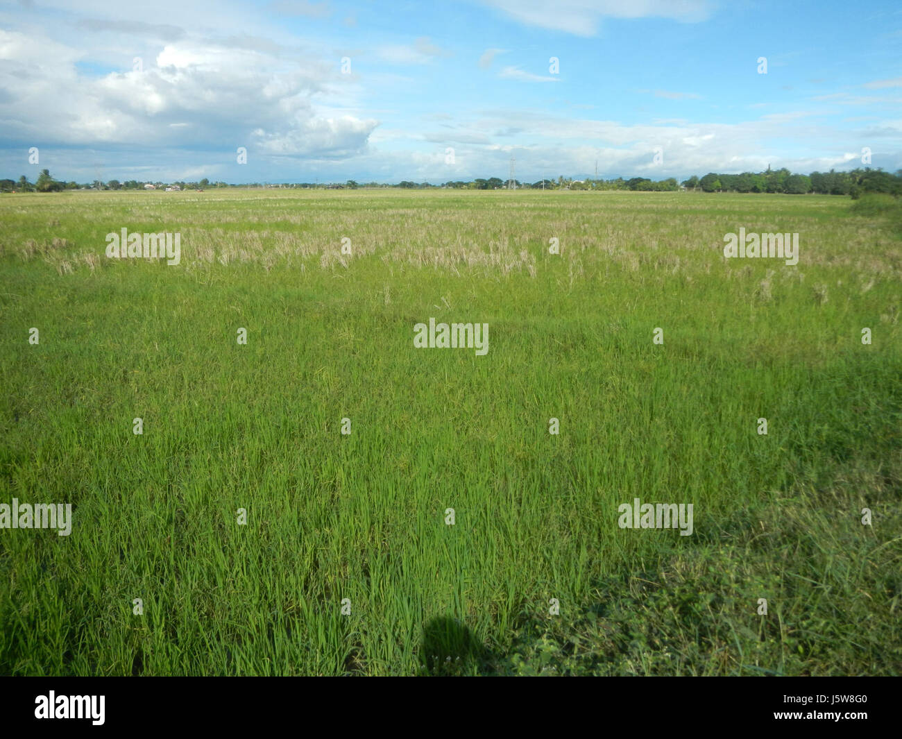 0026 Sitio Pinagpala Extension Bulualto San Miguel Bulacan Farm Market ...