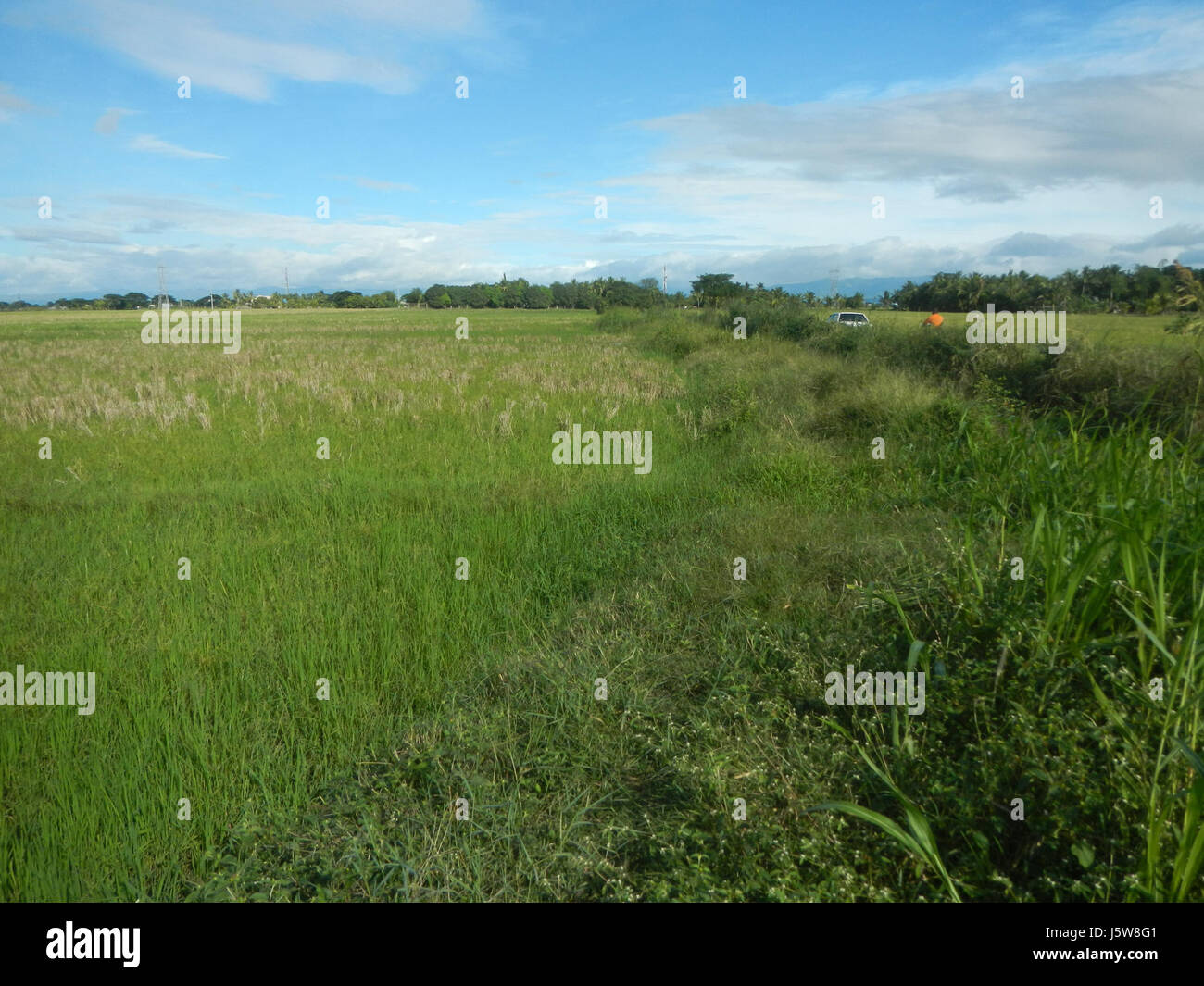 A photograph of the Farm Market Road in Sitio Pinagpala Extension ...