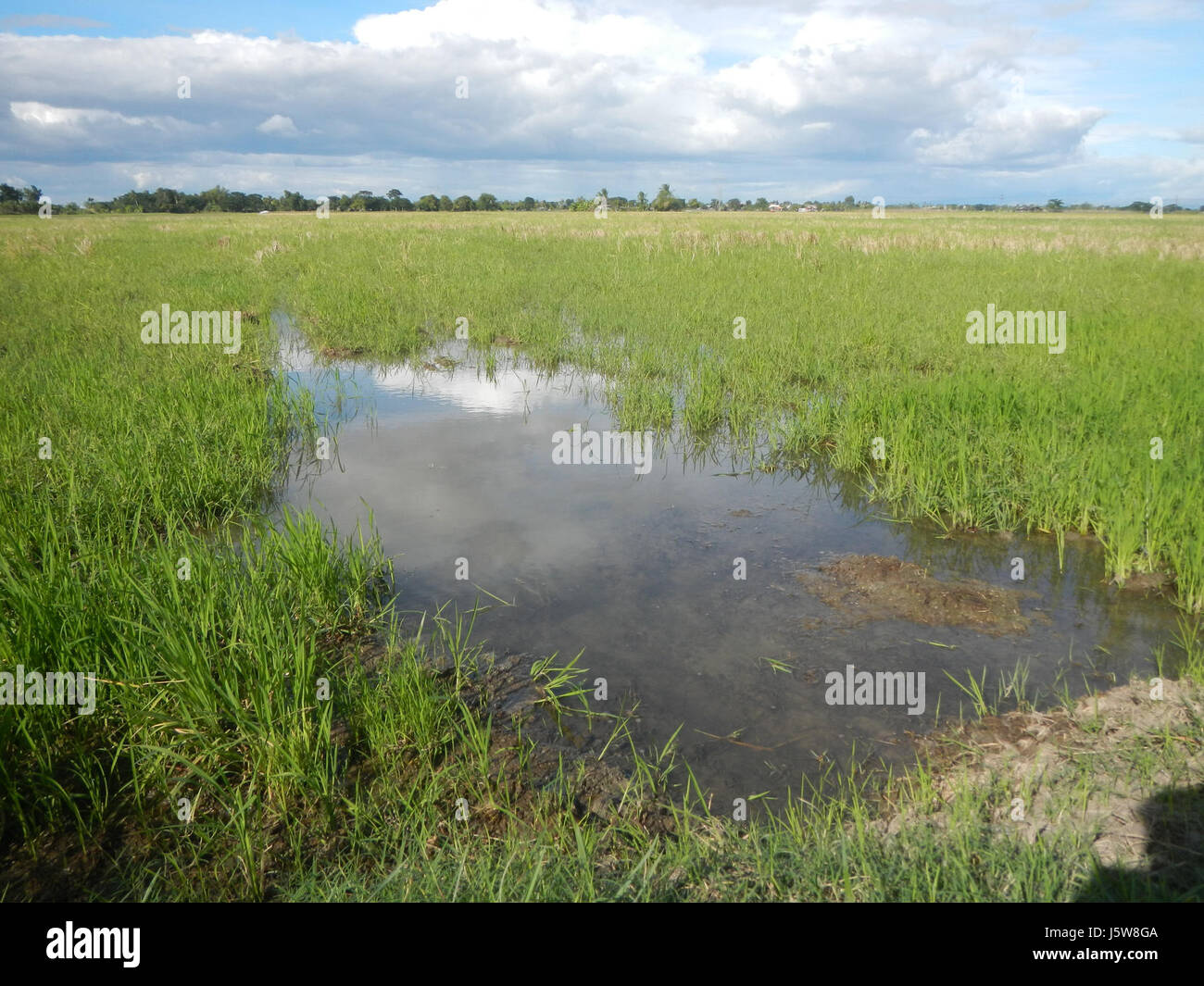 0051 Sitio Pinagpala Extension Bulualto San Miguel Bulacan Farm Market ...