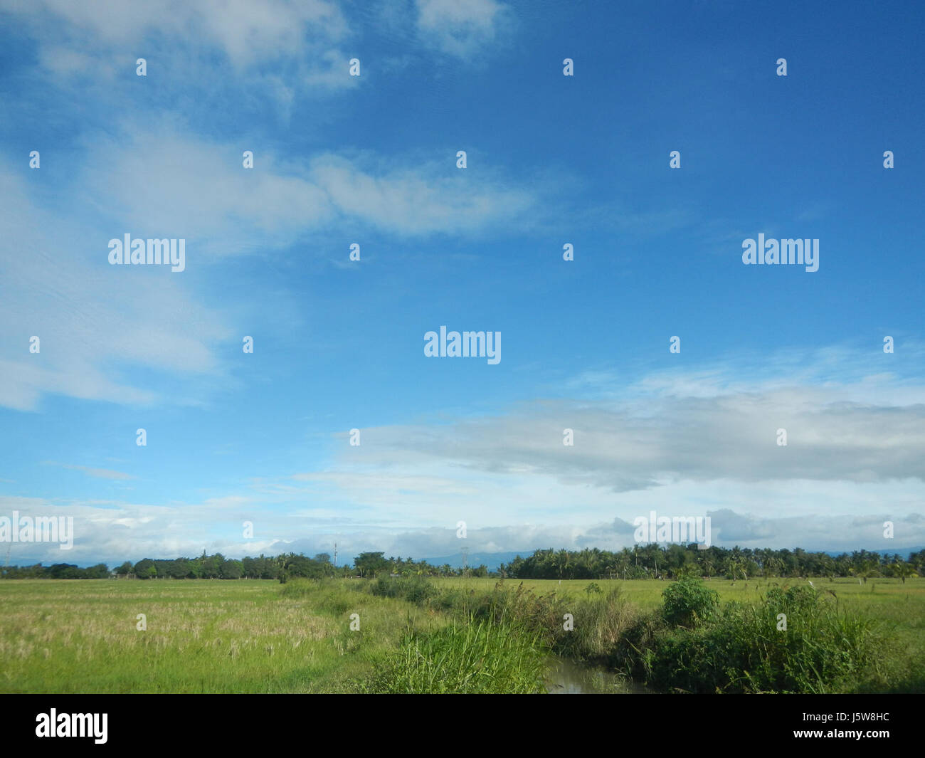 0076 Sitio Pinagpala Extension Bulualto San Miguel Bulacan Farm Market ...