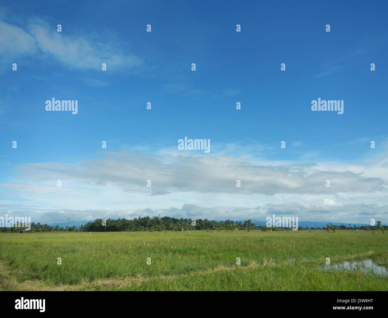 This location in Bulacan, Philippines, is noted for its farming ...