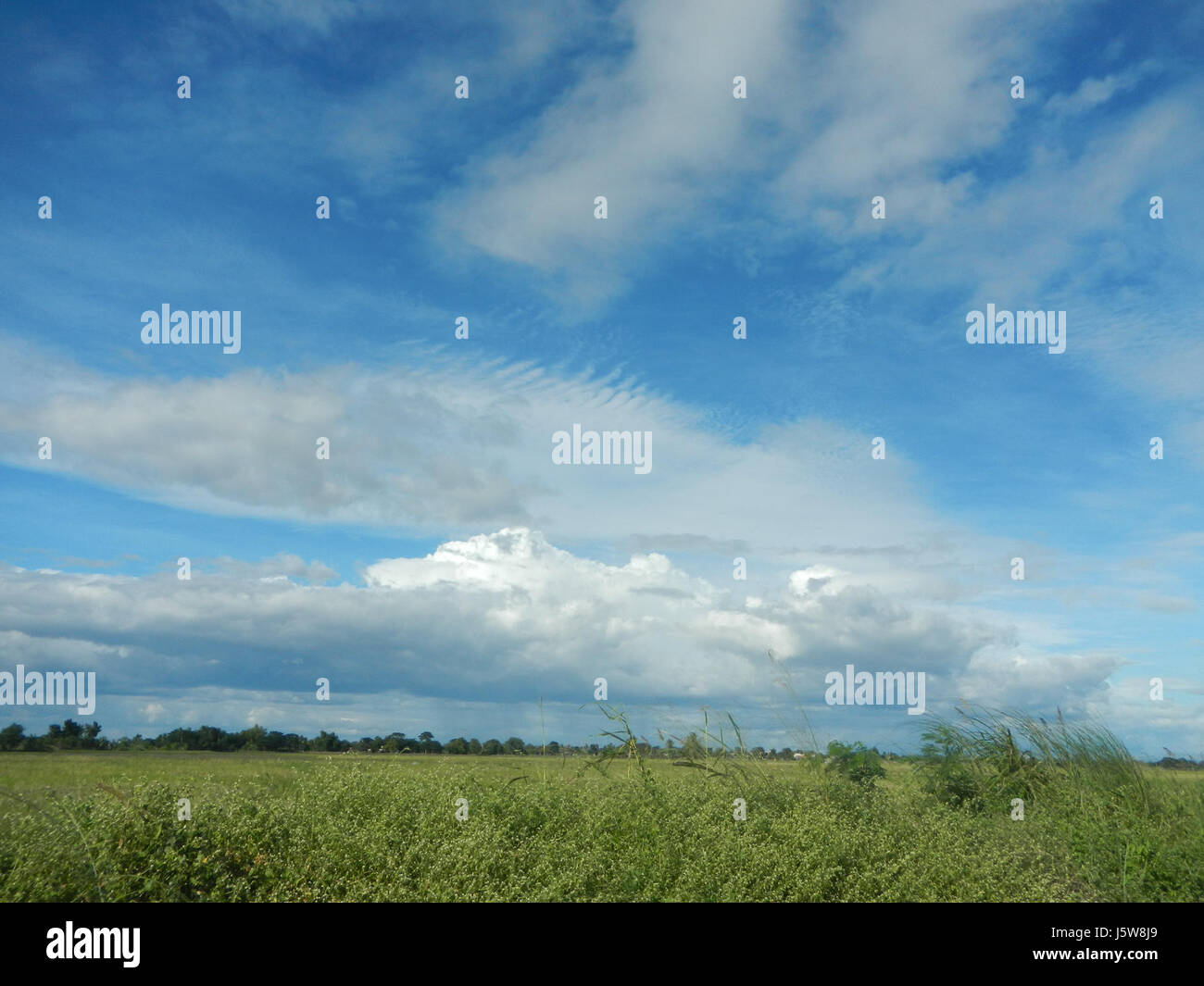 0076 Sitio Pinagpala Extension Bulualto San Miguel Bulacan Farm Market ...