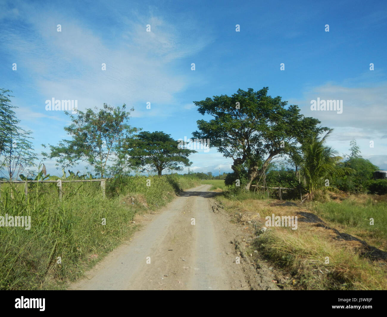 0101 Sitio Pinagpala Extension Bulualto San Miguel Bulacan Farm Market ...