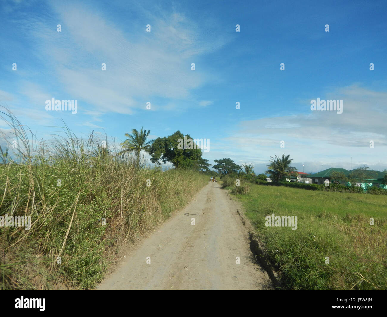 An image of Farm Market Road 11 in Sitio Pinagpala Extension, Bulualto ...