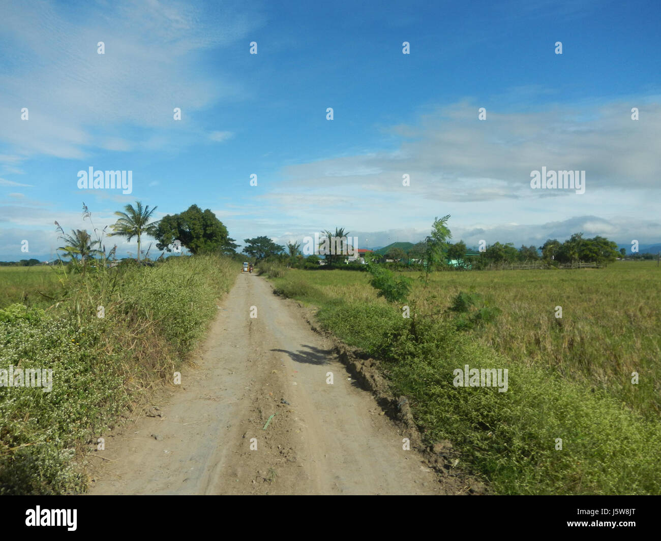 0101 Sitio Pinagpala Extension Bulualto San Miguel Bulacan Farm Market ...